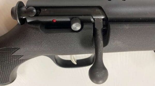 The Different Types of Firearm Safeties - North American Outdoors